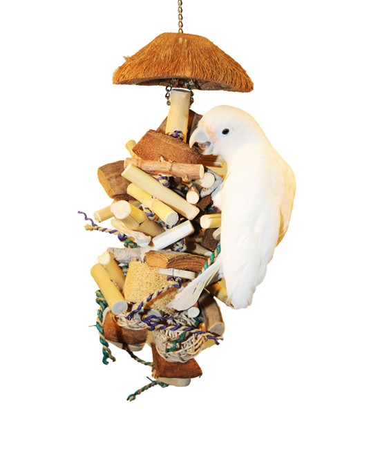 Large Java Bush Bird Toy